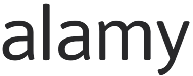 Alamy Test: Der richtige Anbieter für einzigartige Bilder? | EXPERTE.de