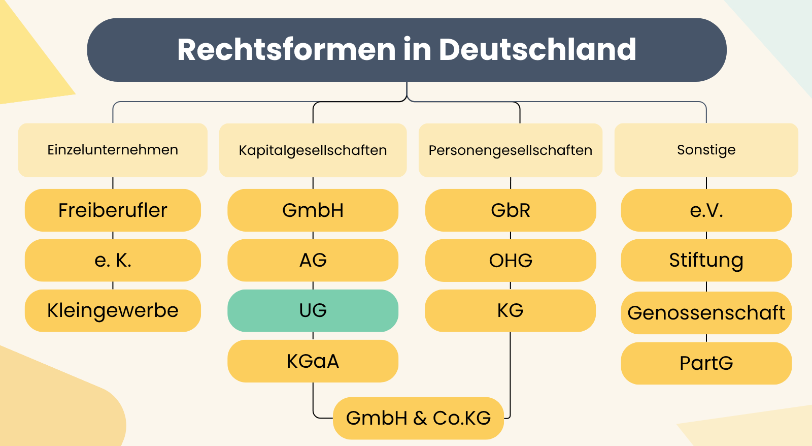 UG: Bedeutung & Vor- und Nachteile der Rechtsform | EXPERTE.de